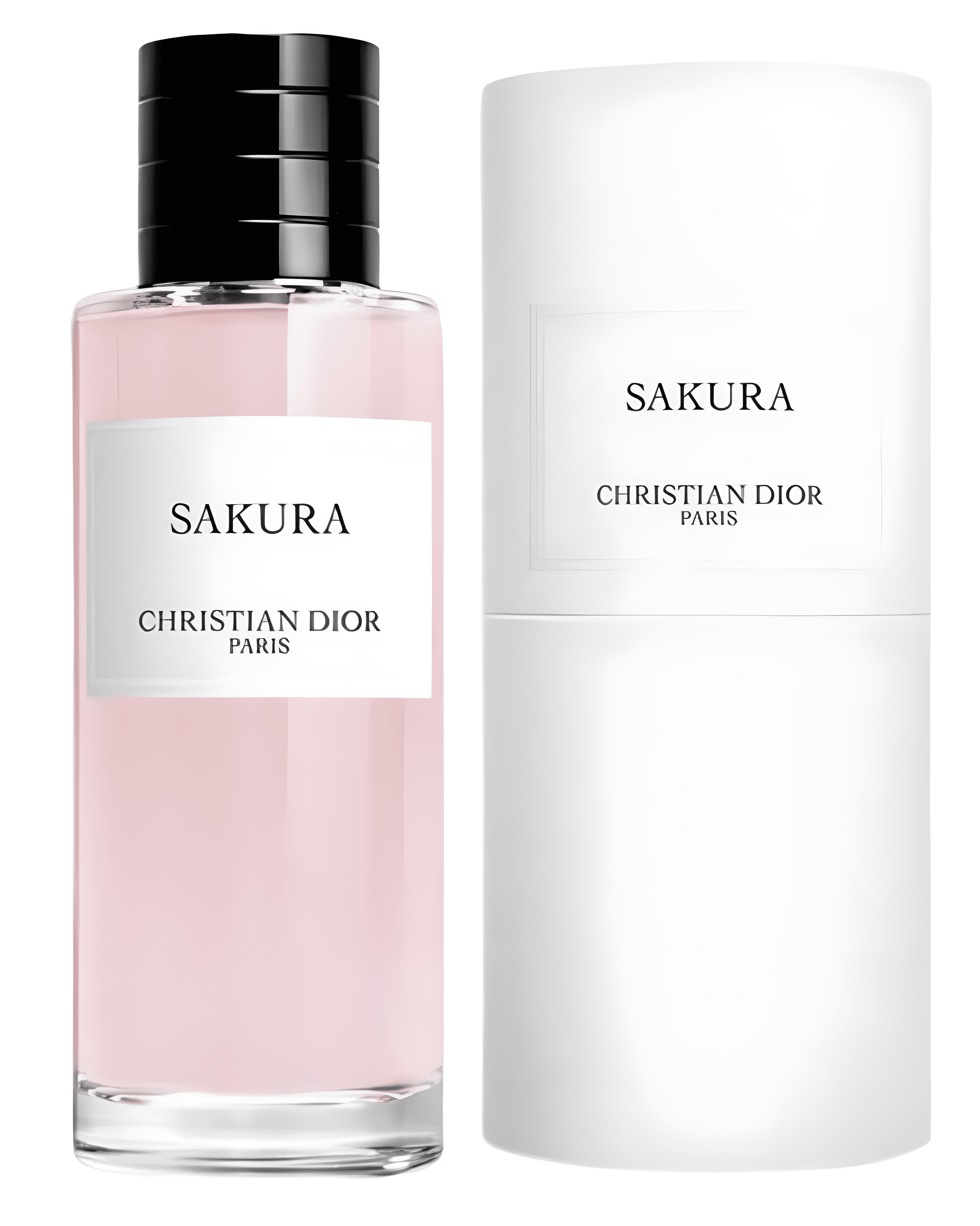 SAKURA DIOR – paris